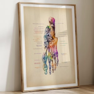 6 Vintage Foot Anatomy Posters Podology Art Foot Bones Ligaments Chart ...
