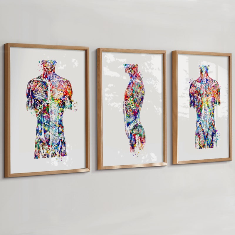 Medical Wall Decor - Etsy