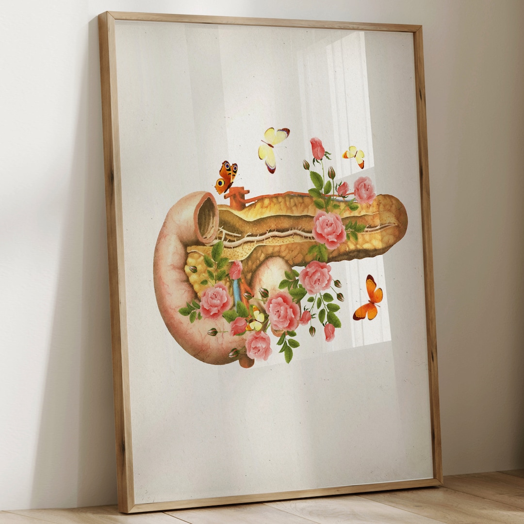 Pancreas Art, Vintage Anatomy Art, Medical Art, Digestive System ...