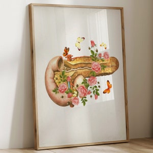 Pancreas Art, Vintage Anatomy Art, Medical Art, Digestive System ...
