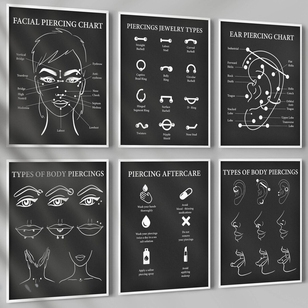 6 Piercer Gift Body Piercing Art Ear Piercing Chart Face Piercing Areas ...
