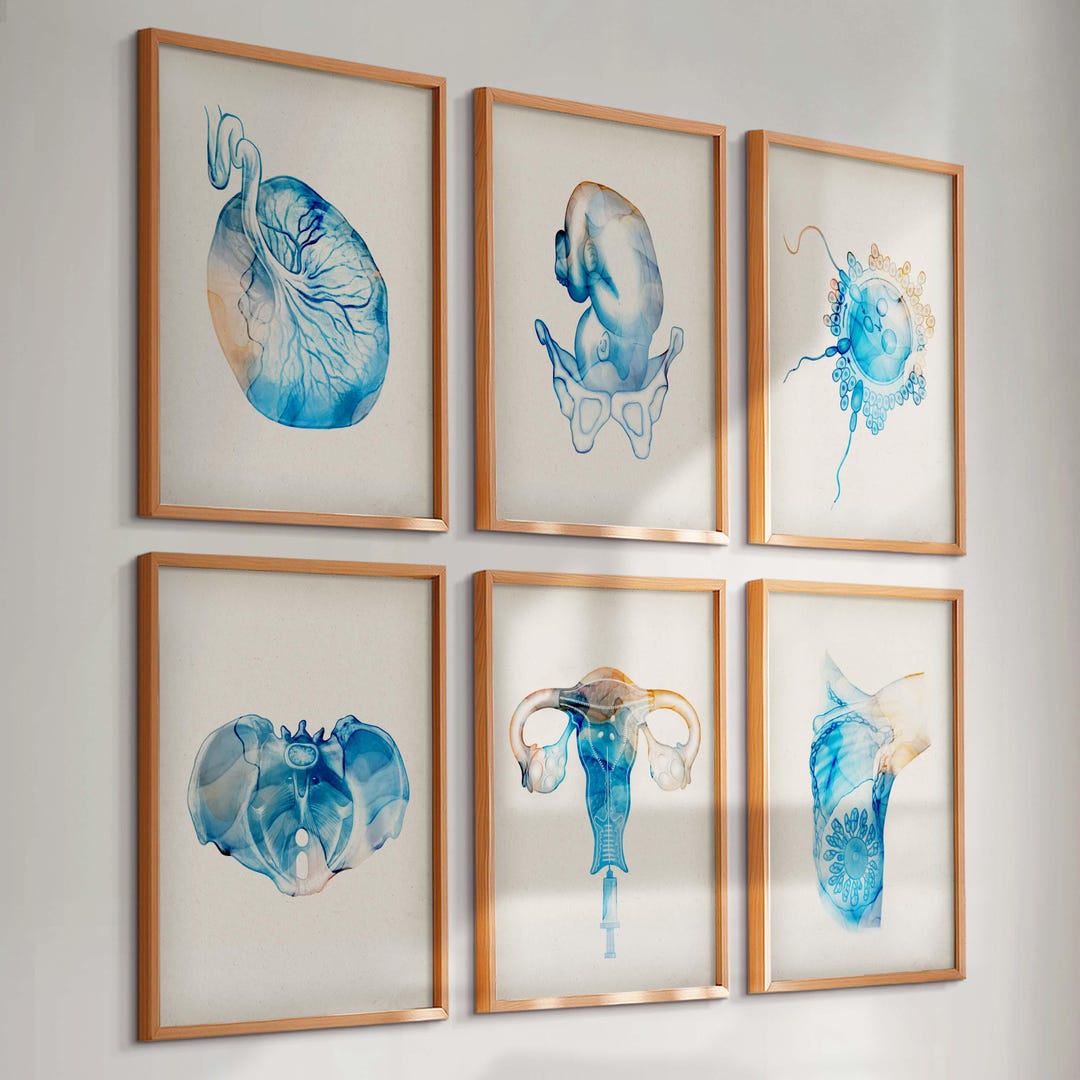 Set 6 Watercolor Pregnancy Anatomy Posters Obgyn Art Medical Artwork ...