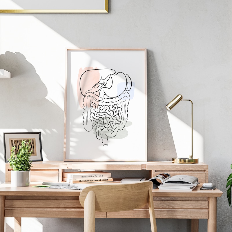 Digestive System - Etsy