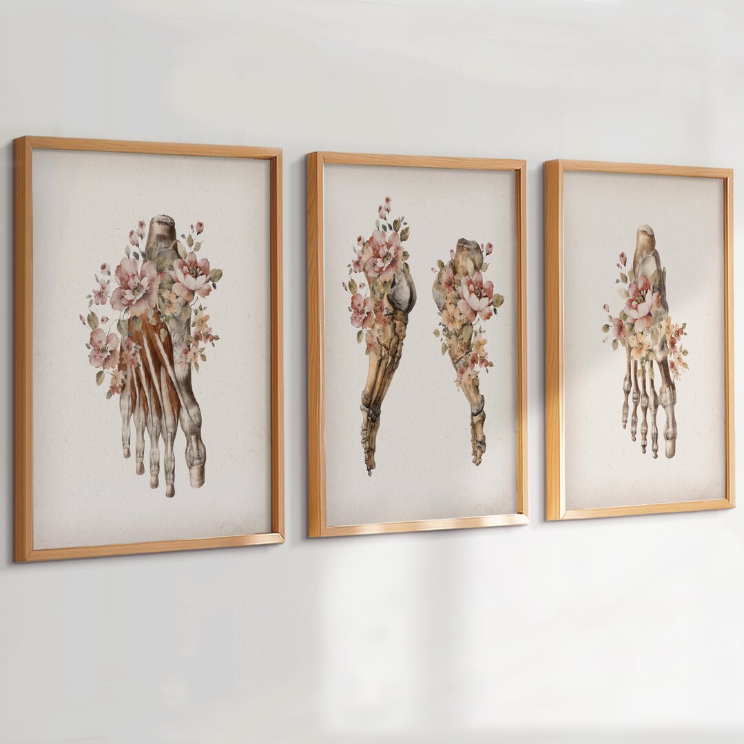 Set 3 Vintage Foot Anatomy Art Orthopedic Art Floral Foot Bones ...