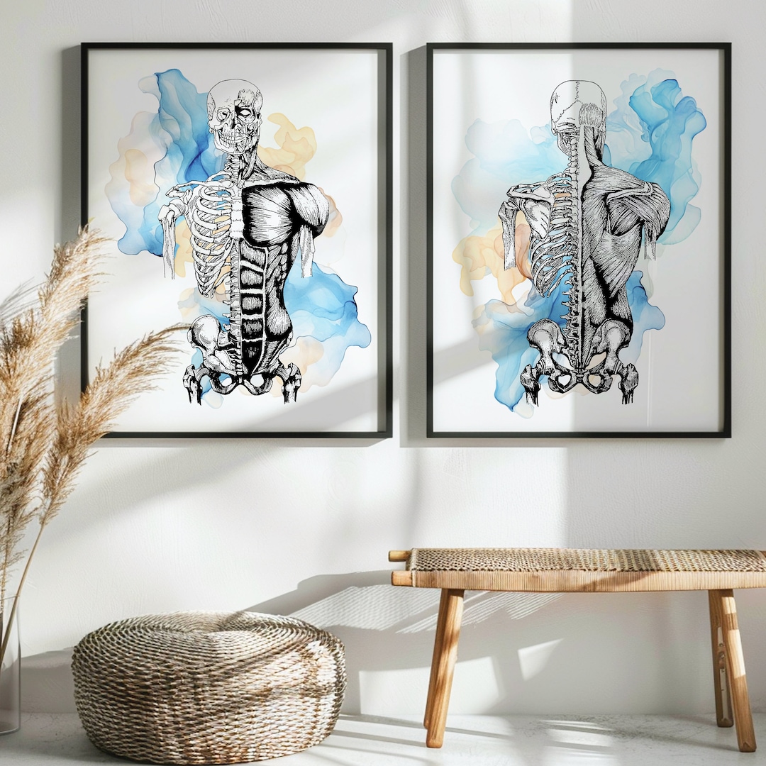 2 Musculoskeletal System Art Watercolor Anatomy Art Medical Art ...