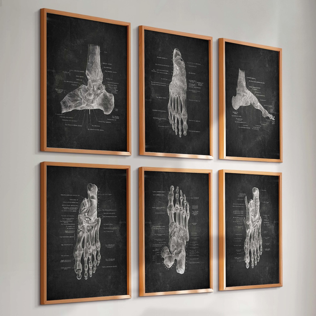 6 Foot Anatomy Posters Podology Art Foot Bones Ligaments Orthopedic ...