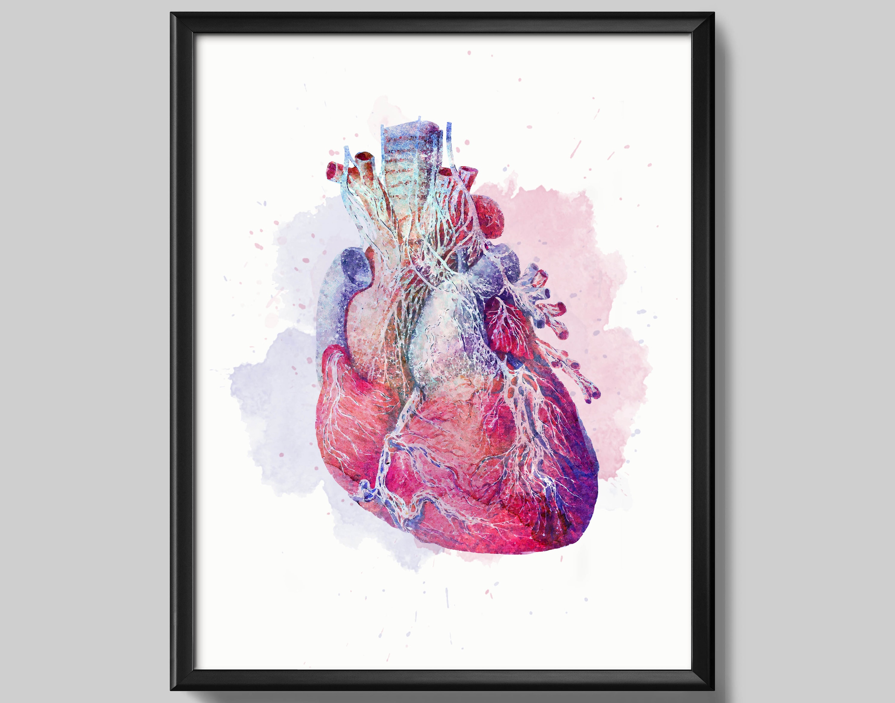 Heart Anatomy Art Watercolor Medical Art Cardiology Art - Etsy