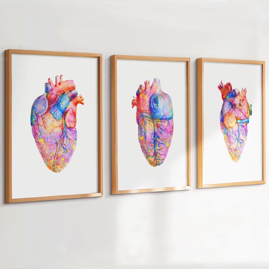 3 Watercolor Heart Anatomy Art Anatomical Heart Painting Medical Art ...