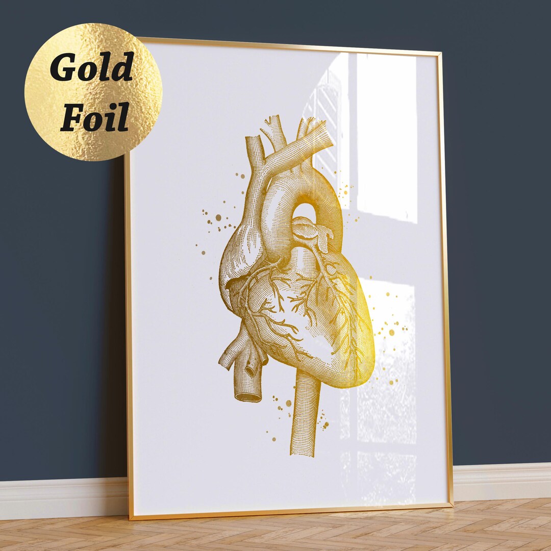 Heart Anatomy Art Aorta Art Medical Art Cardiovascular System ...