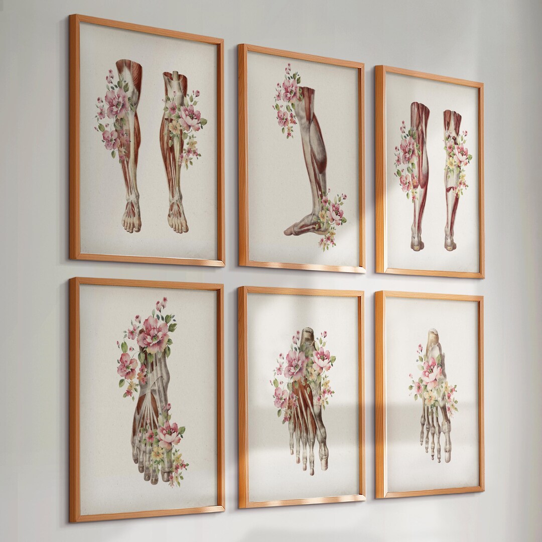 Set 6 Vintage Foot Anatomy Posters Leg Diagram Medical Art Orthopedic ...