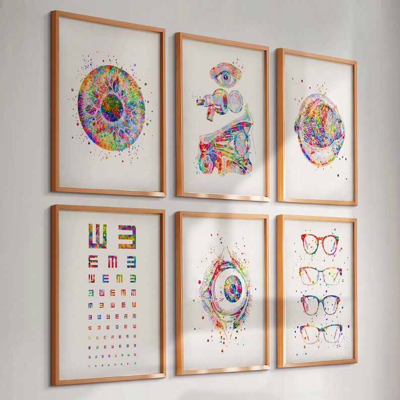 6 Watercolor Eye Anatomy Art Prints Optometry Art Eye Diagram Optician ...