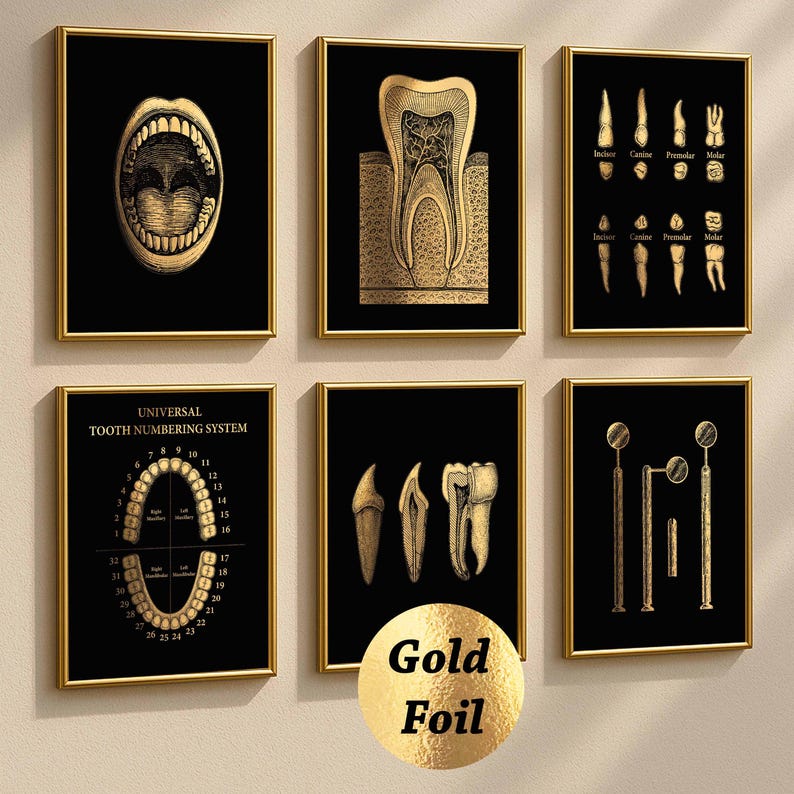 6 Dental Anatomy Posters, Tooth Structure Diagram, Teeth Numbering ...