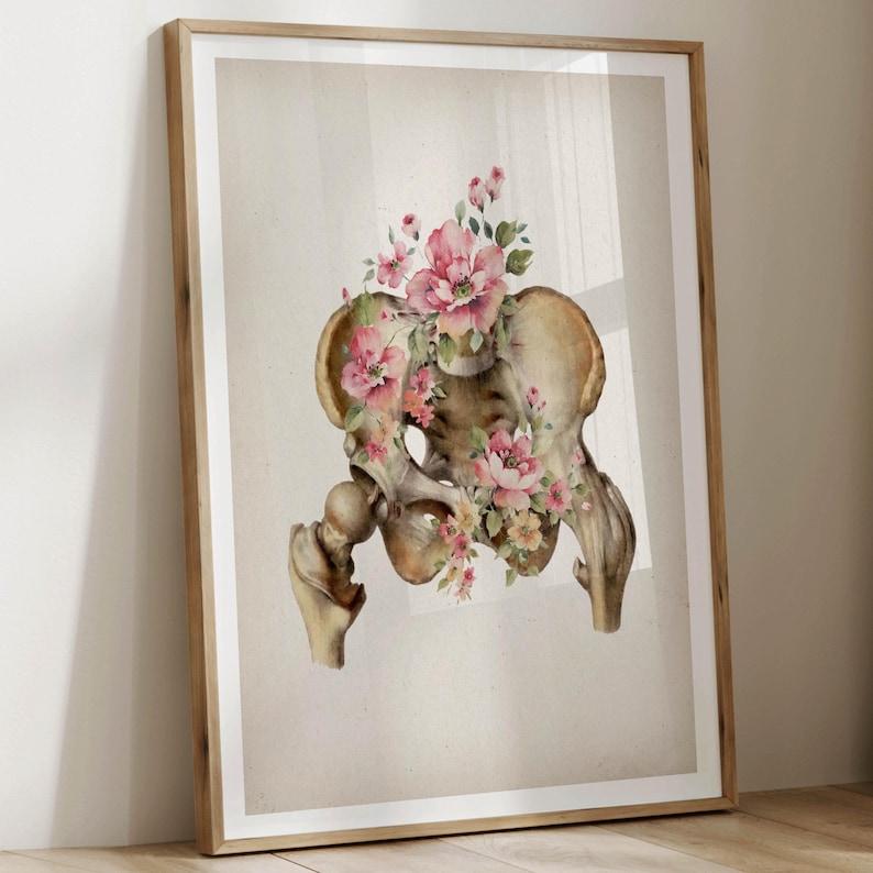 Set 3 Vintage Pelvis Anatomy Art Prints Pelvic Floor Poster Medical ...