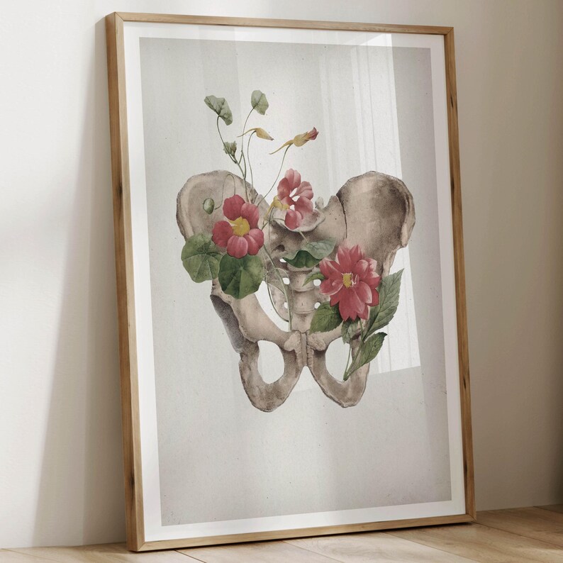 6 Vintage Skeleton Anatomy Art, Floral Skeletal System, Orthopedic Art ...