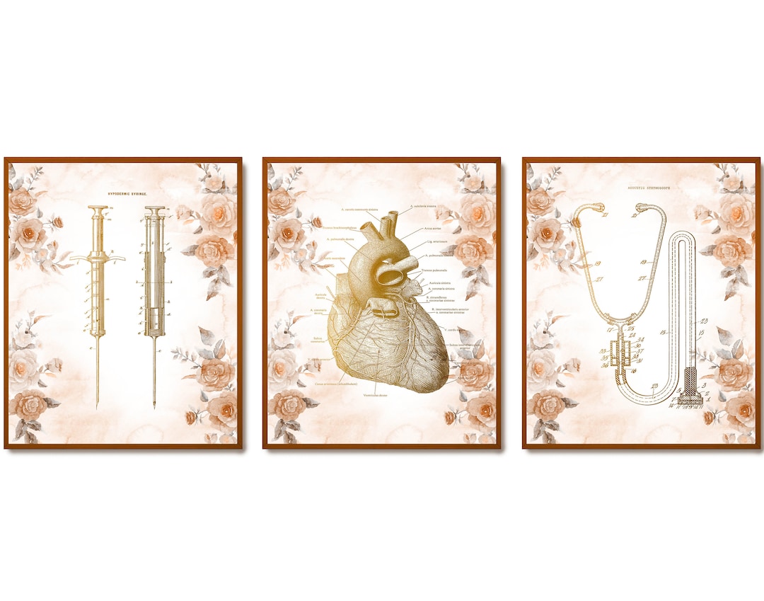 3 Cardiology Art Anatomy Artwork Medical Art Anatomical Heart Print ...