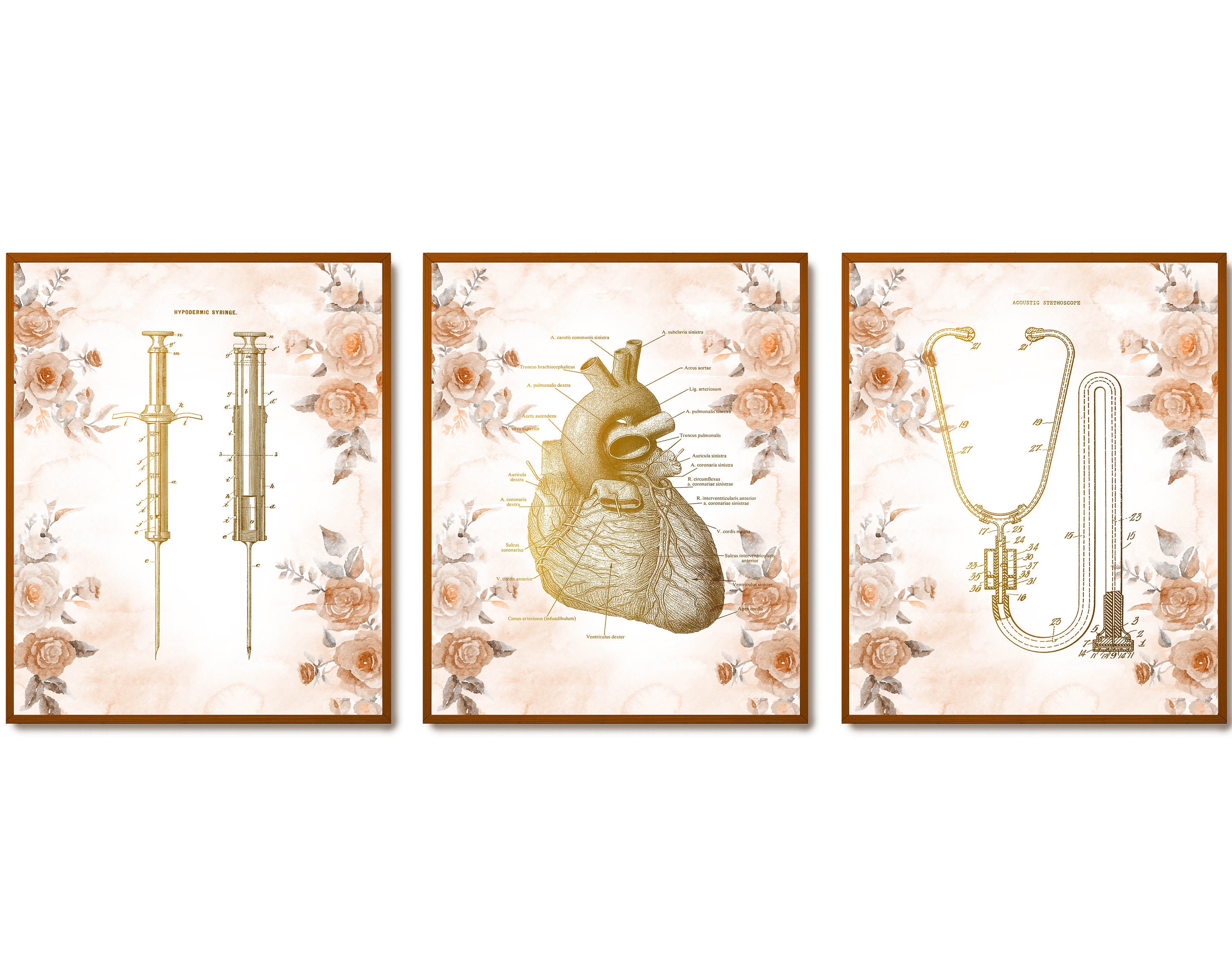 3 Cardiology Art Anatomy Artwork Medical Art Anatomical Heart - Etsy