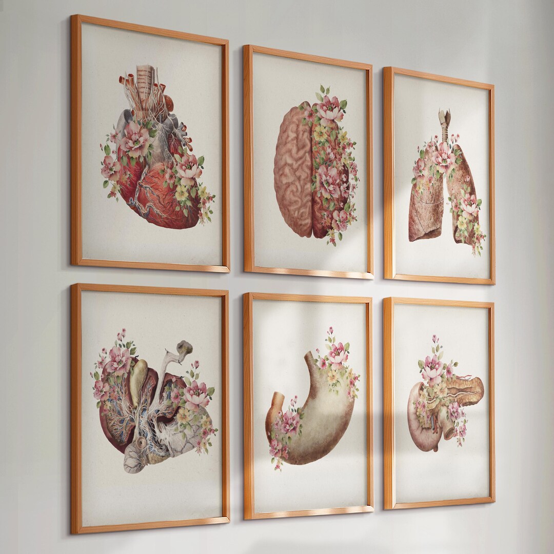 Set 6 Vintage Anatomy Art Watercolor Anatomy Floral Anatomy Medical Art ...
