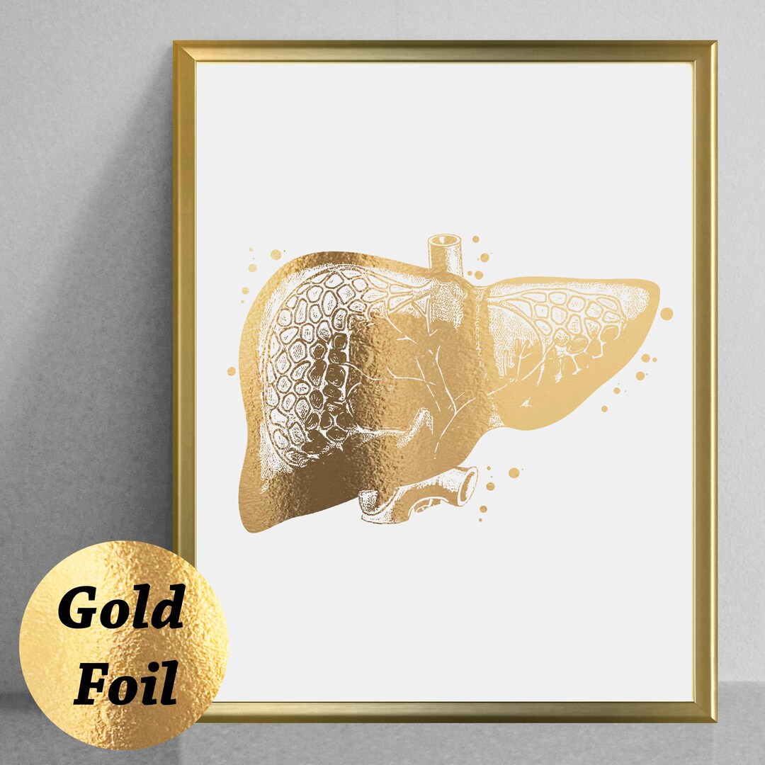Gold Liver Anatomy Art Medical Art Hepatologist Gift Surgeon Gift ...
