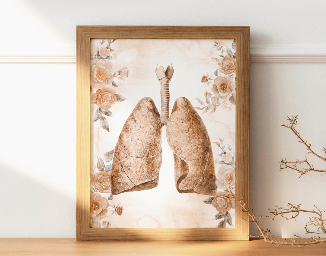 Anatomical Lungs and Trachea Art Respiratory System Anatomy Print ...