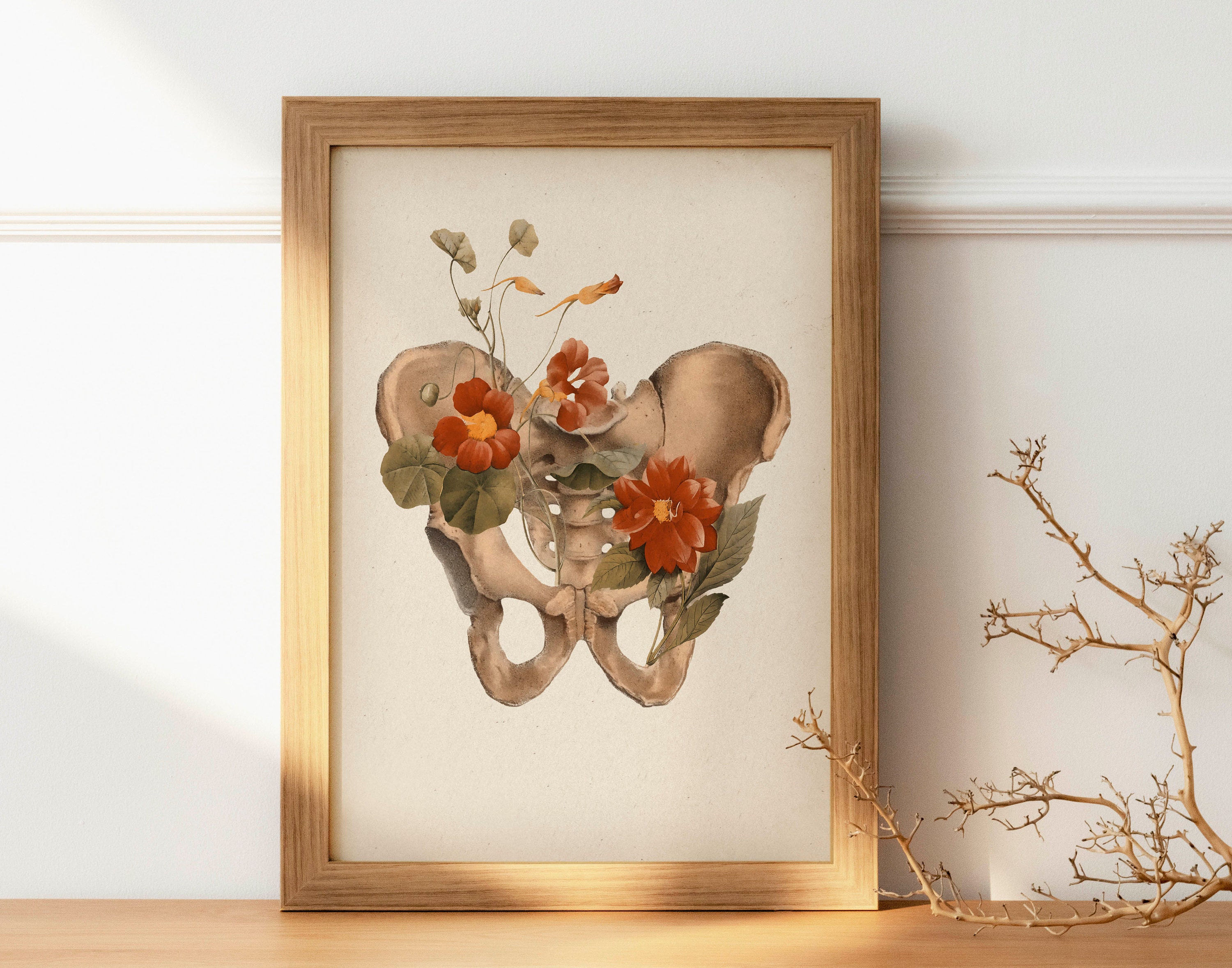 Pelvic Anatomy Art Skeletal System Art Physiology Art - Etsy