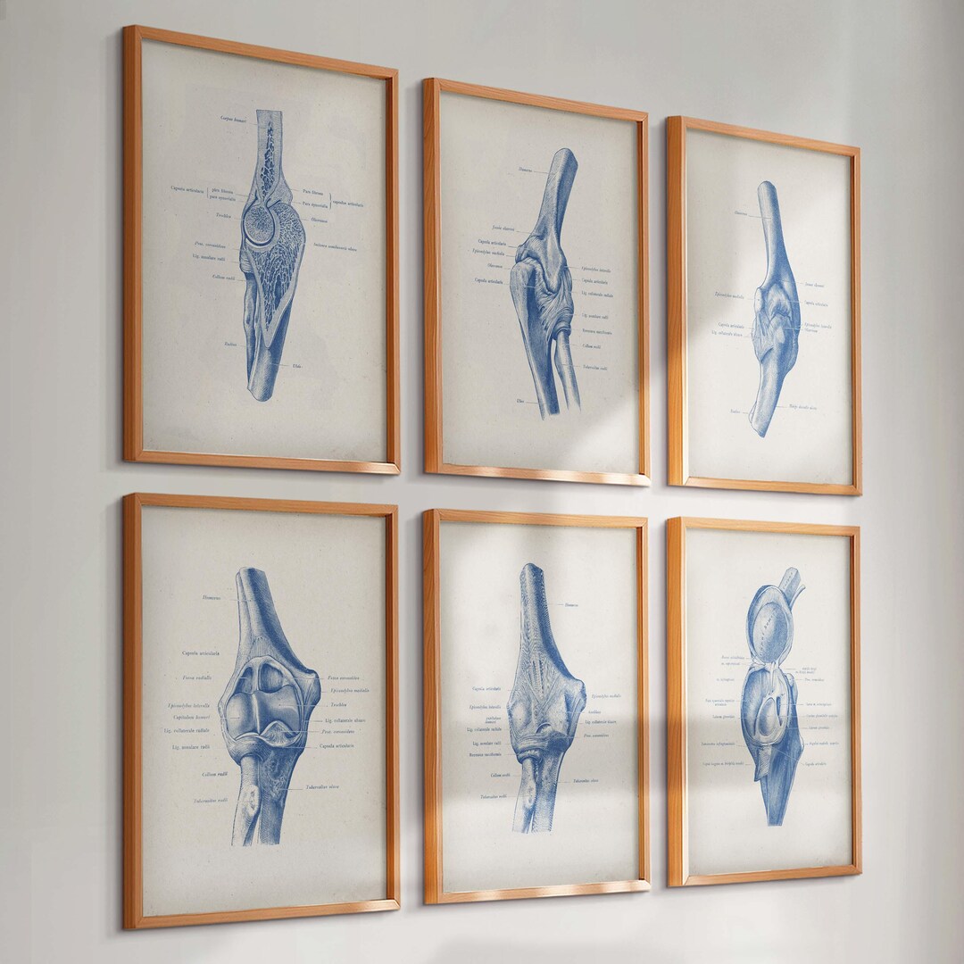 6 Vintage Elbow Anatomy Posters Elbow Joint Print Orthopedic Art Hand ...