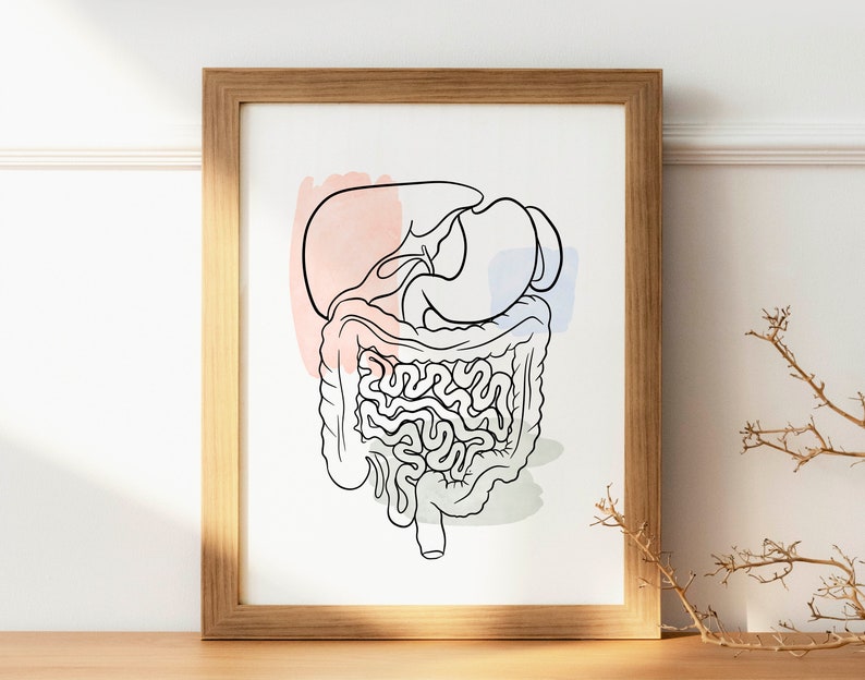 Digestive System Art Anatomy Art Gastroenterologist Gift Medical ...