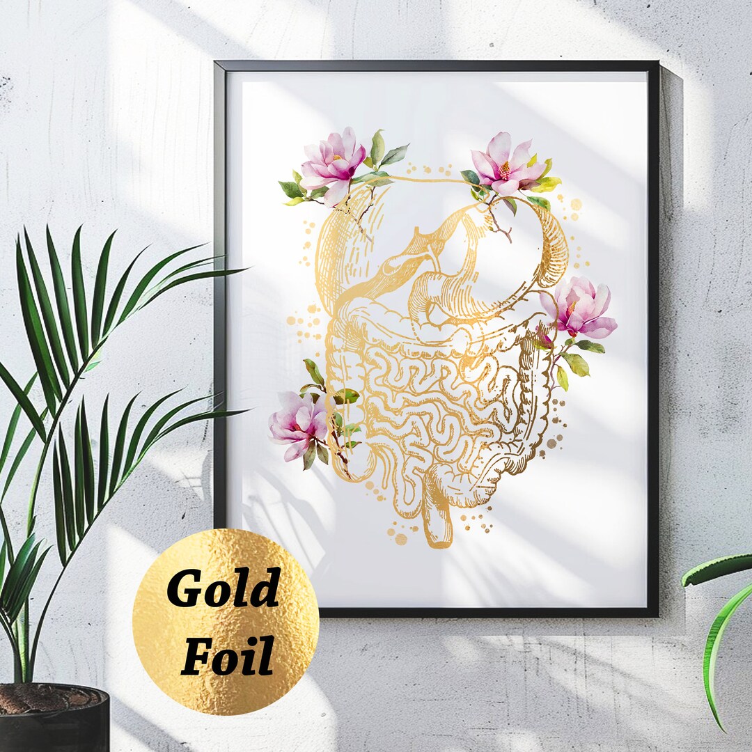 Digestive System Art Gold Anatomy Art Medical Art Gastrointestinal ...