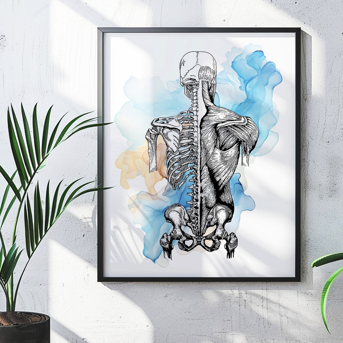 2 Musculoskeletal System Art Watercolor Anatomy Art Medical Art ...