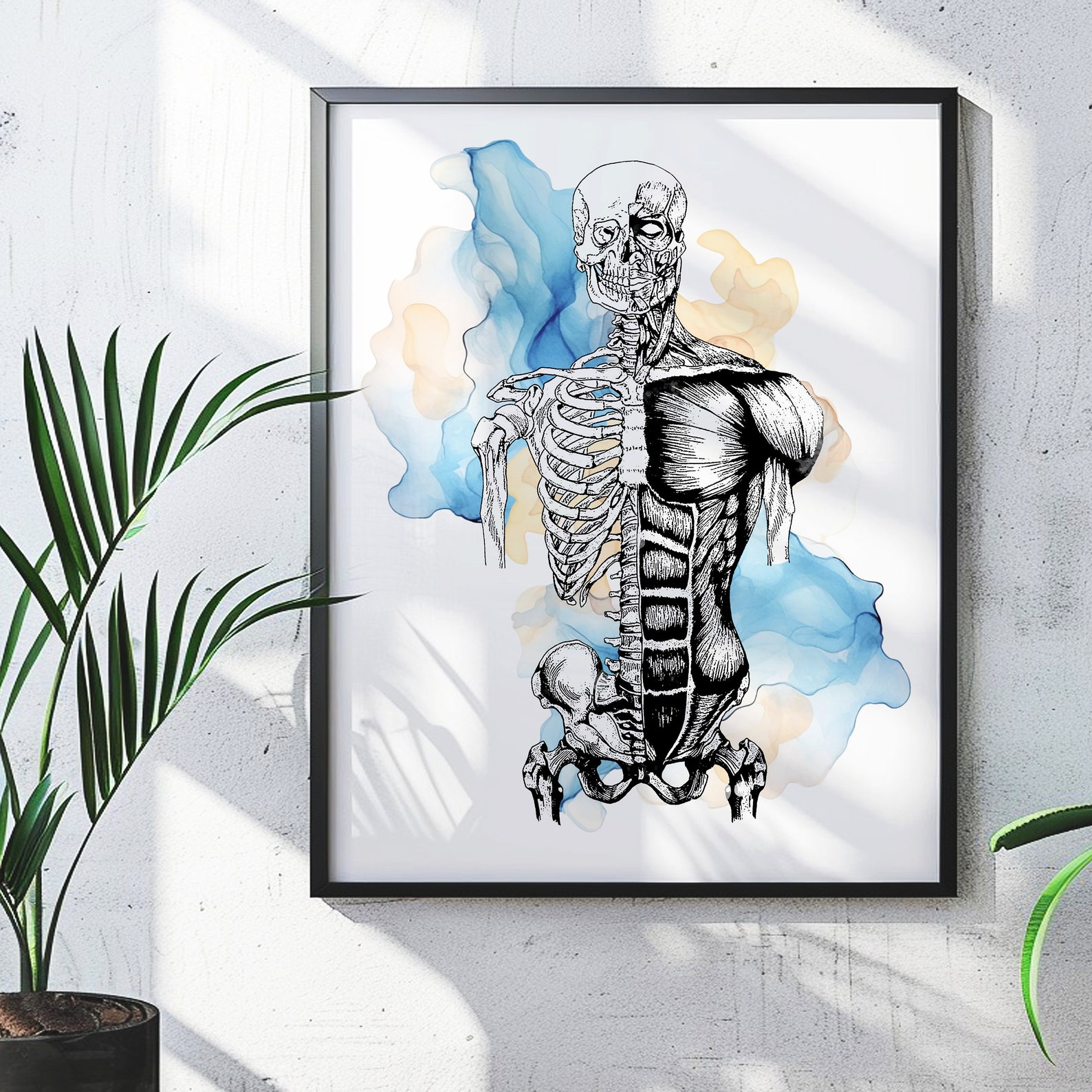 2 Musculoskeletal System Art Watercolor Anatomy Art Medical Art ...