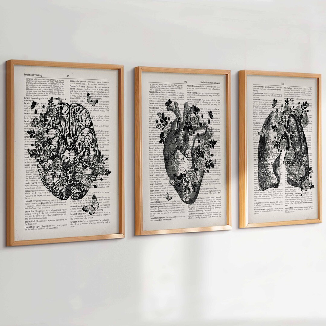 3 Anatomy Art Anatomical Heart Brain Lungs Print Dictionary Page ...
