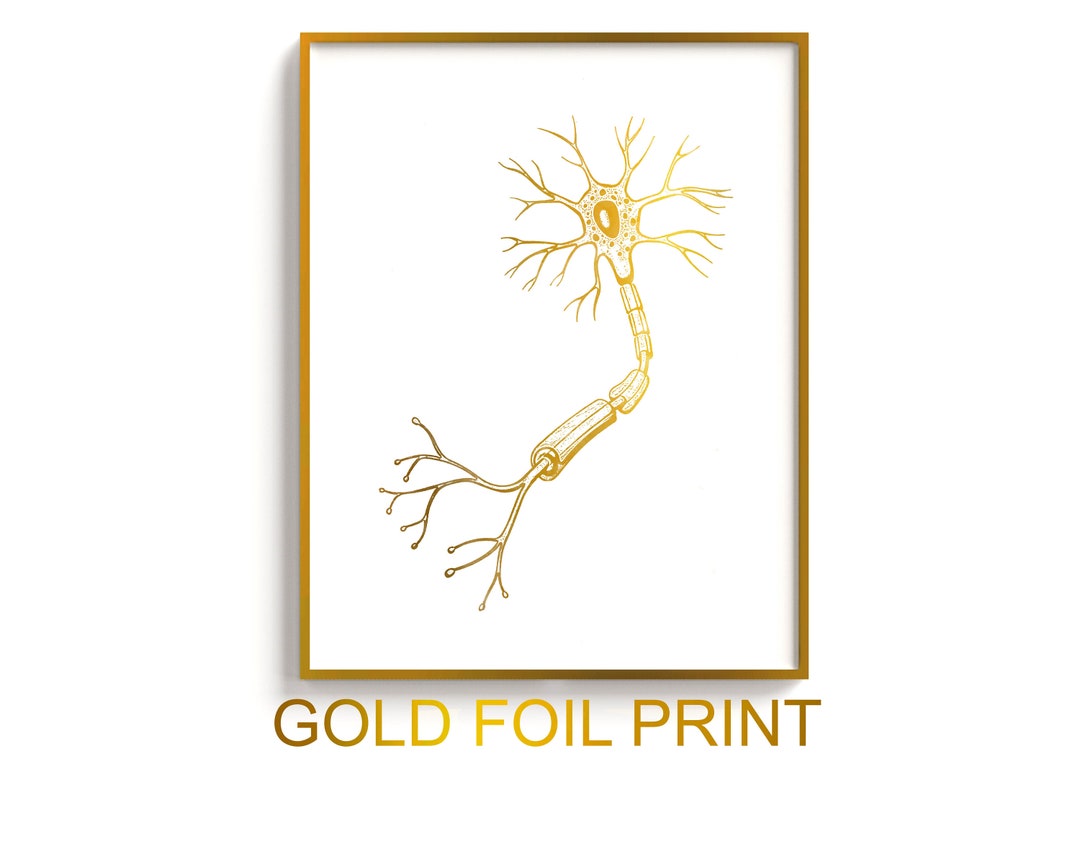 Gold Neuron Art, Anatomy Art, Neurology Art, Nervous System ...