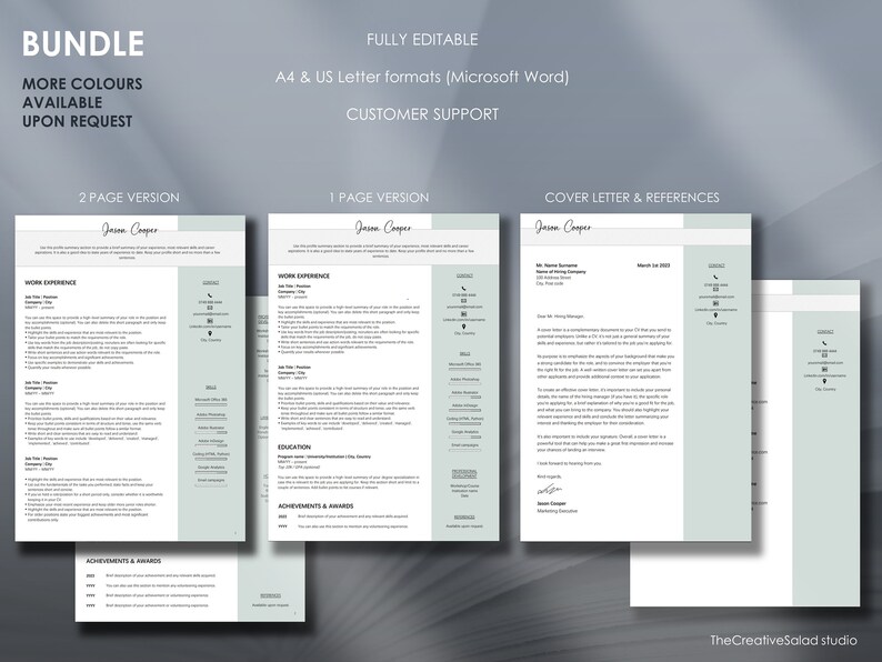 1 and 2 Page CV RESUME TEMPLATE Professional, Modern Design, Microsoft ...