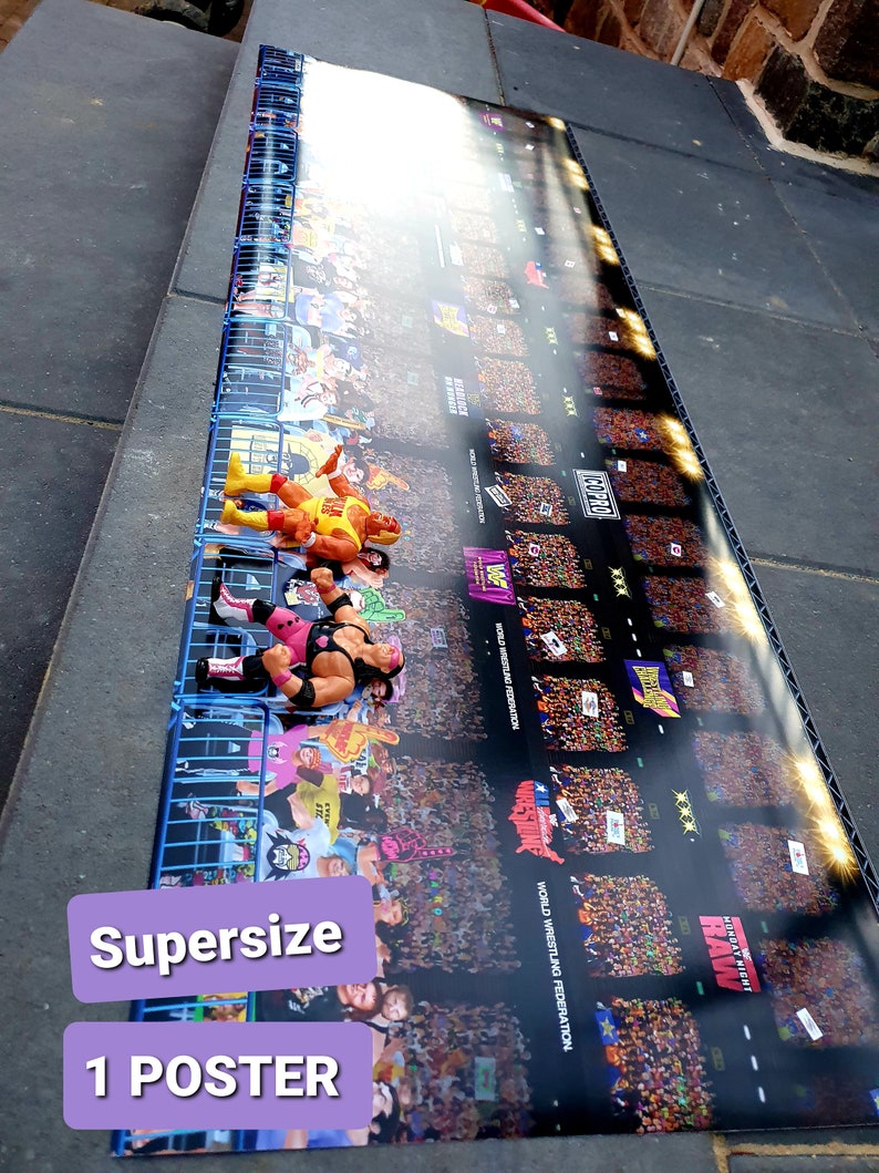 WWF Classic Wrestling Figures CROWD Backdrop Hasbromaniacs Hasbro ...