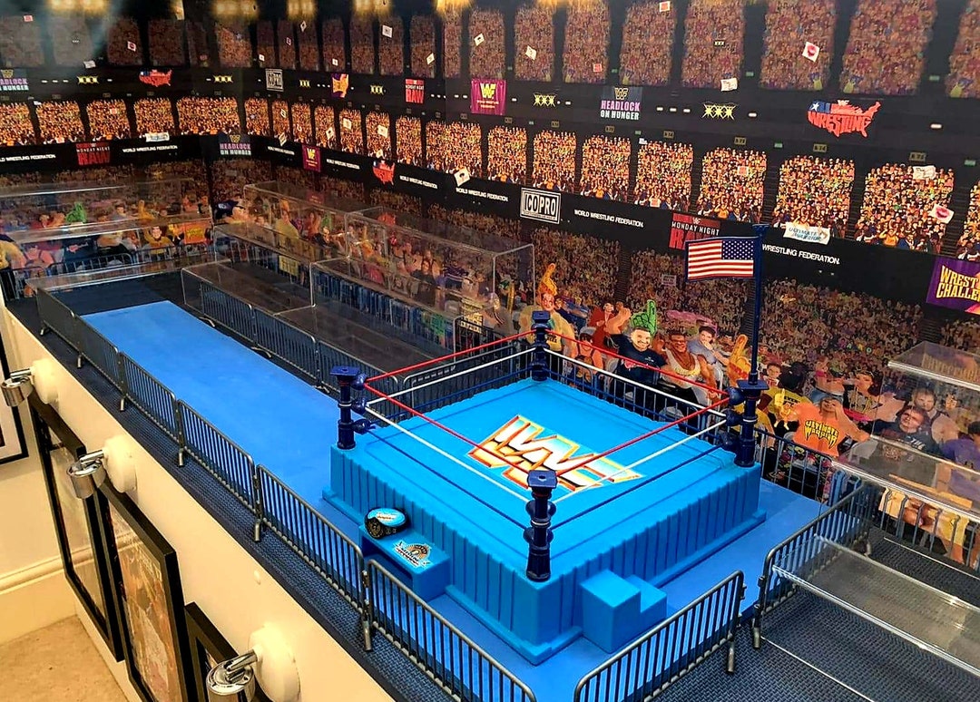 WWF Classic Wrestling Figures CROWD Backdrop Hasbromaniacs Hasbro ...