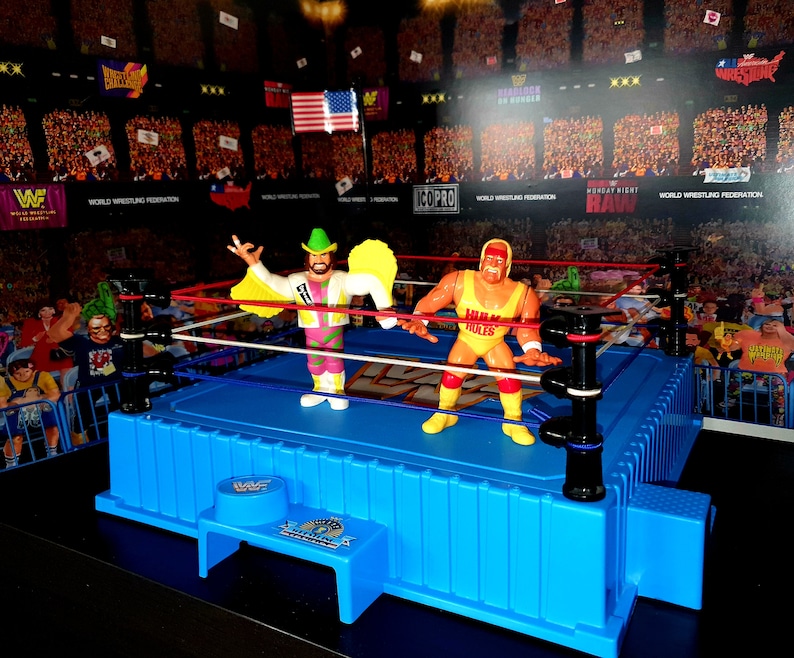WWF Classic Wrestling Figures CROWD Backdrop Hasbromaniacs Hasbro ...