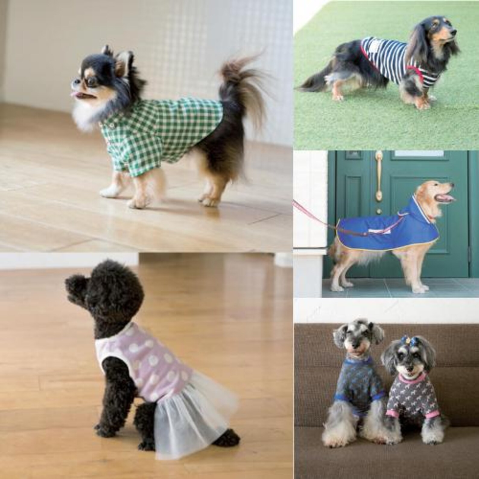 Dog Clothes Sewing Pattern – 26 DIY Outfit Designs (PDF Pattern) - Etsy