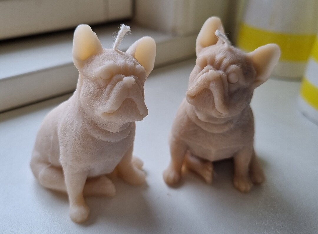 Cute Frenchie Rapeseed Wax Candle - Etsy