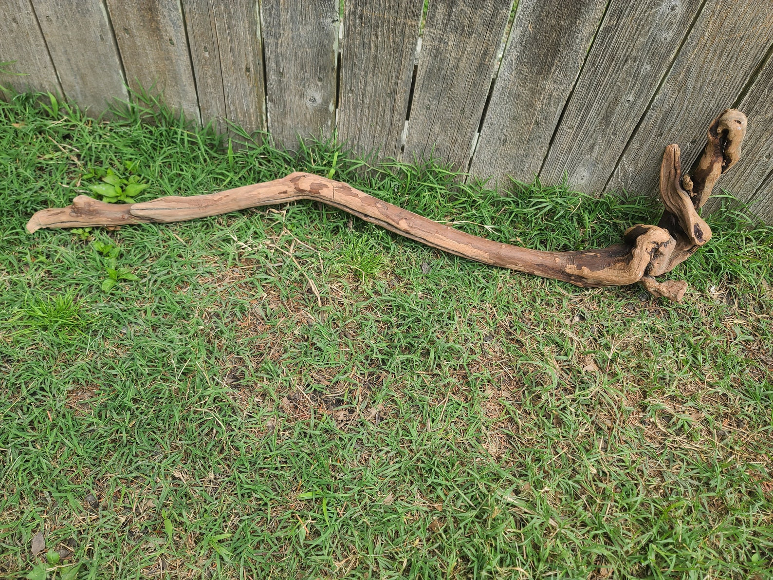 Dragonhead Wizard Stick - Etsy