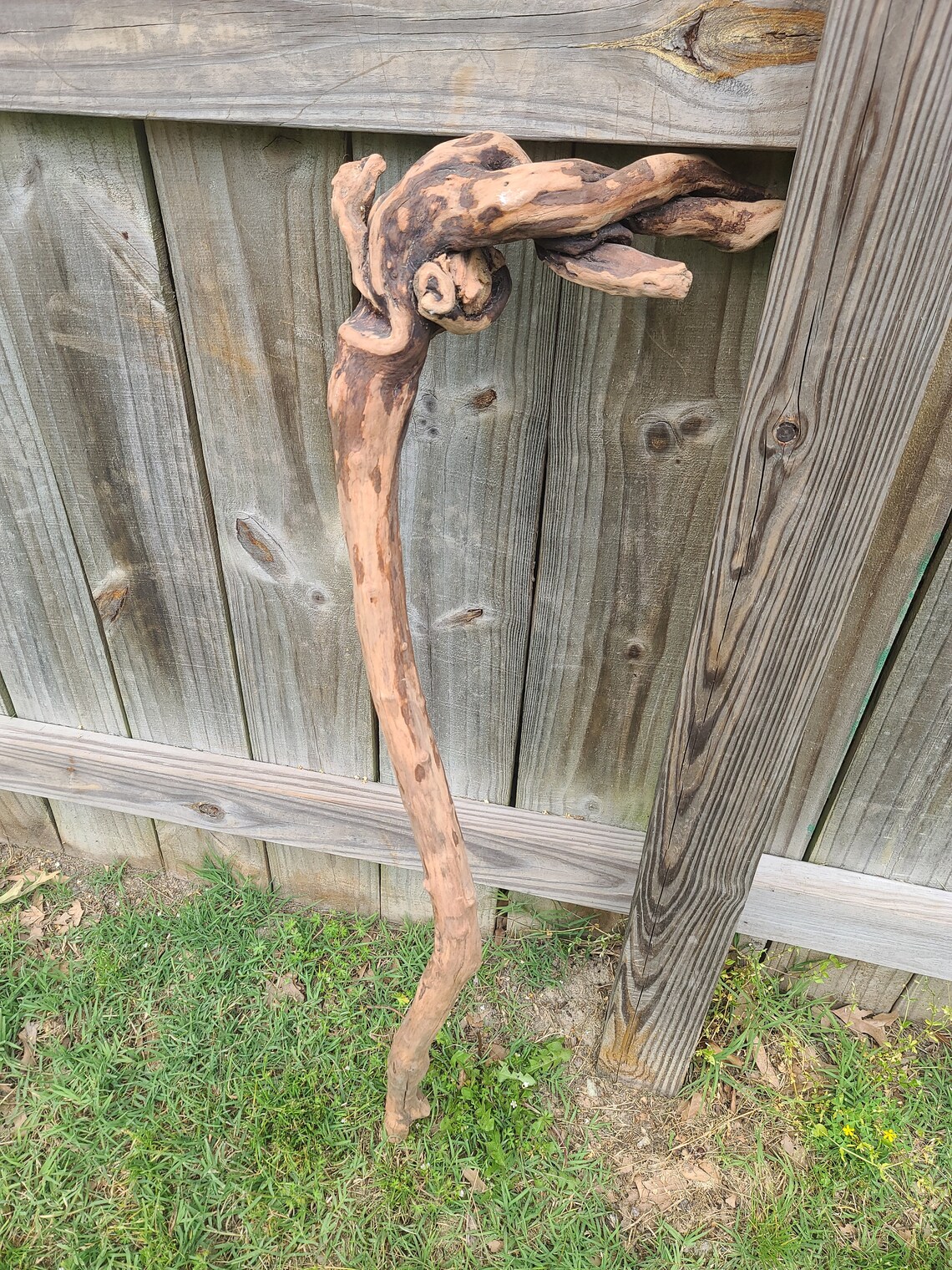 Dragonhead Wizard Stick - Etsy