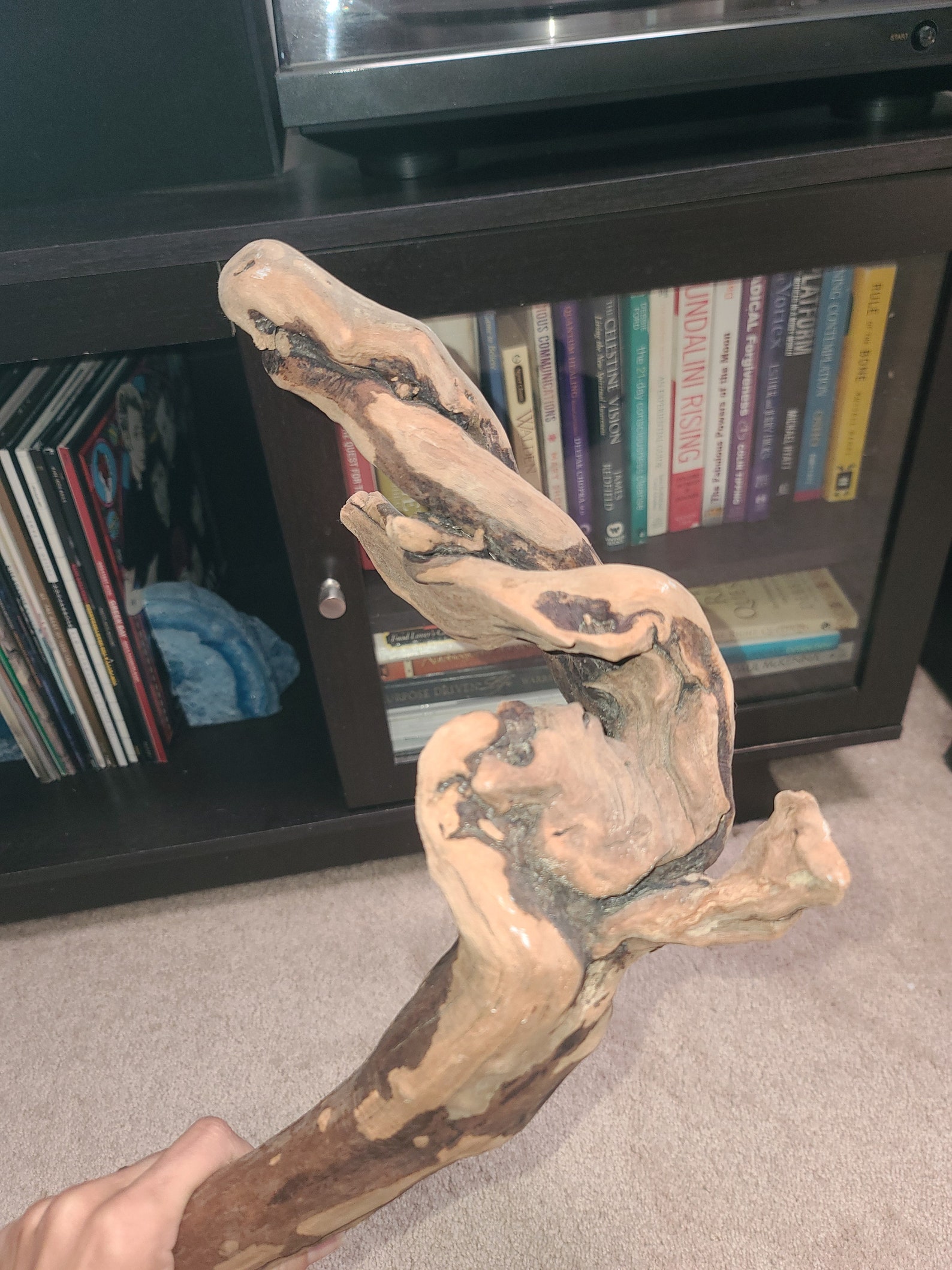 Dragonhead Wizard Stick - Etsy