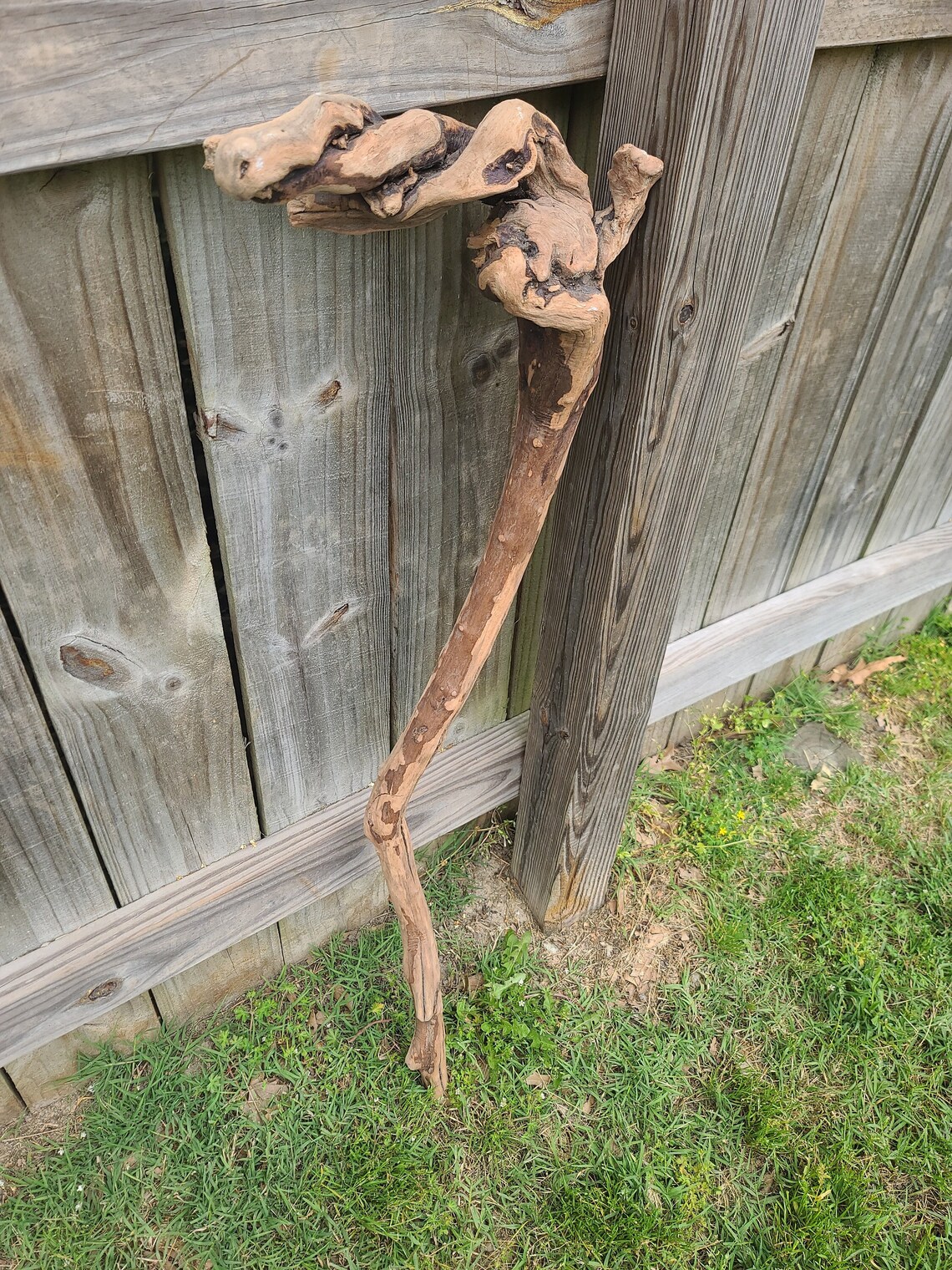 Dragonhead Wizard Stick - Etsy