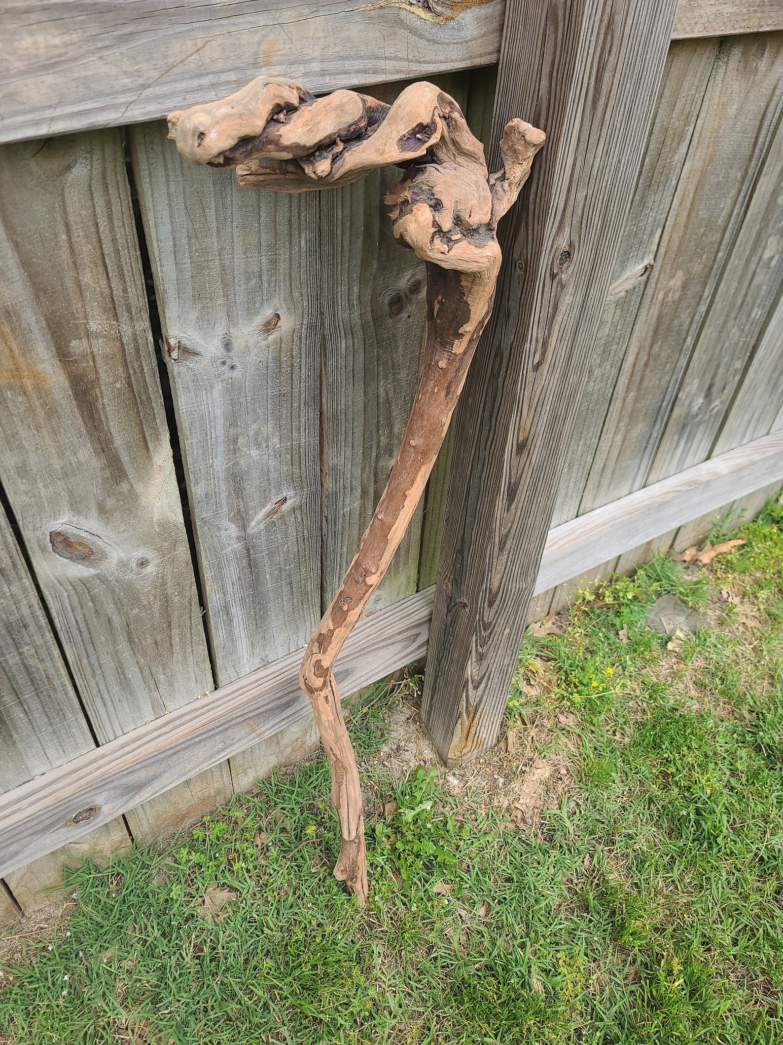 Dragonhead Wizard Stick - Etsy