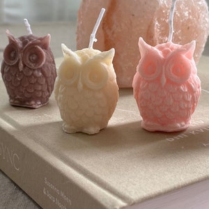 Owl Candle Beautifully Crafted Candle - Etsy