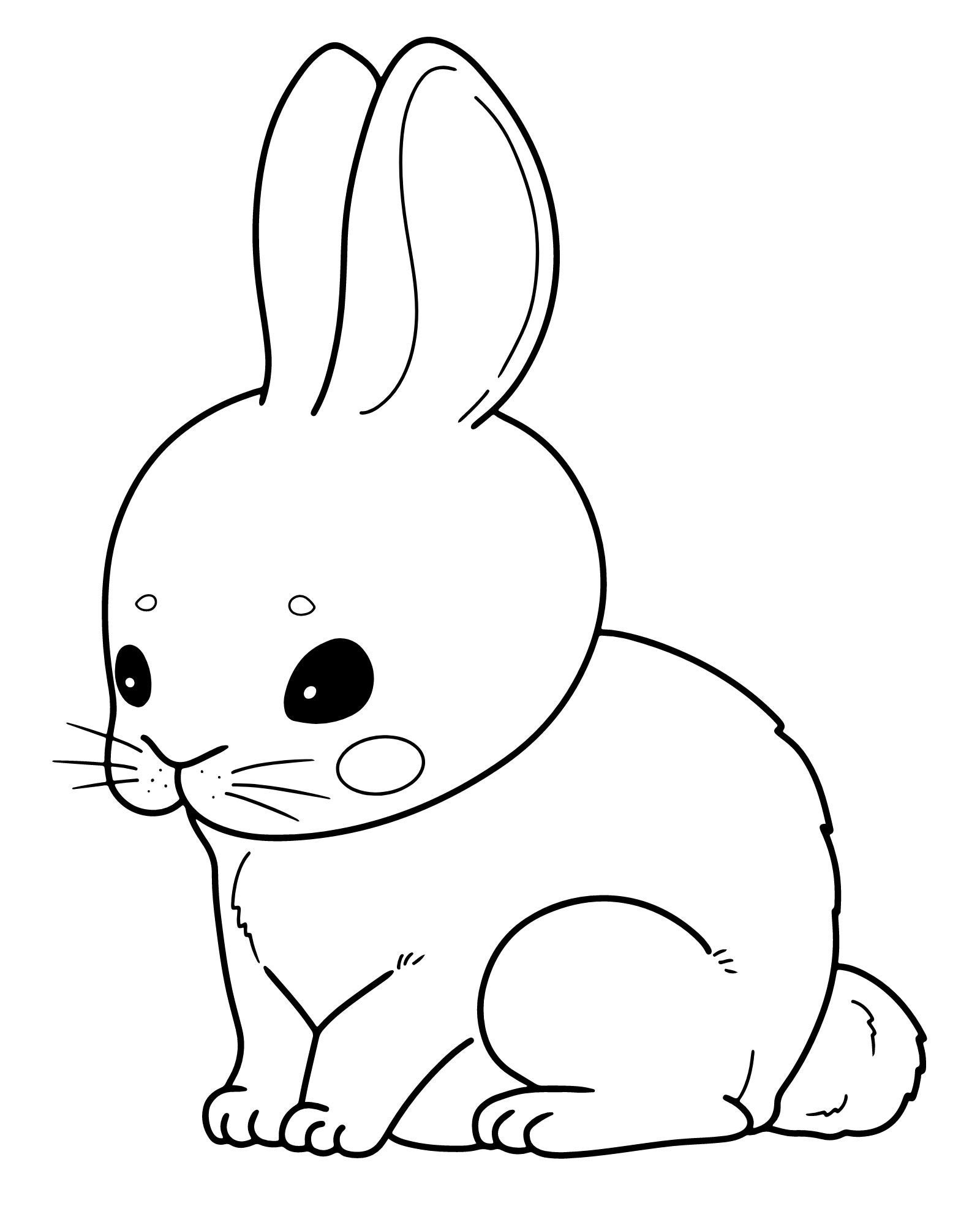 50 Pieces of Rabbit Coloring / Children Coloring / Children Activities ...