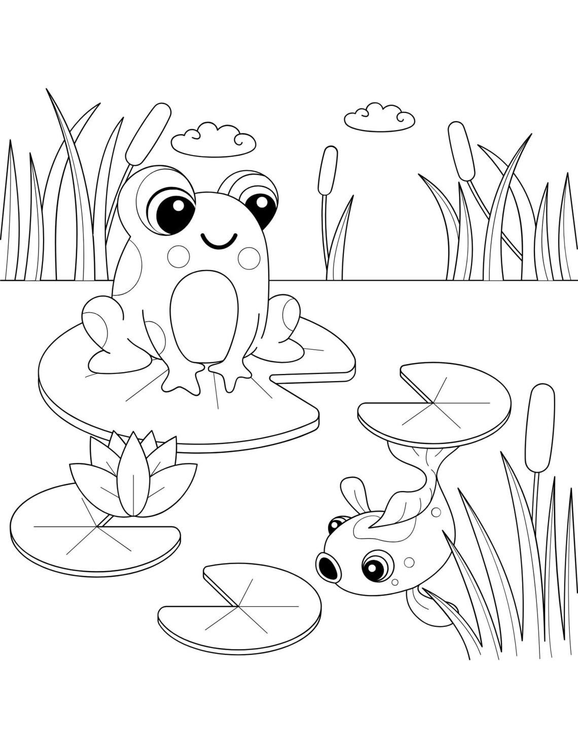 30 Pieces Coloring Book | Frog Coloring Book | Children for Activity ...