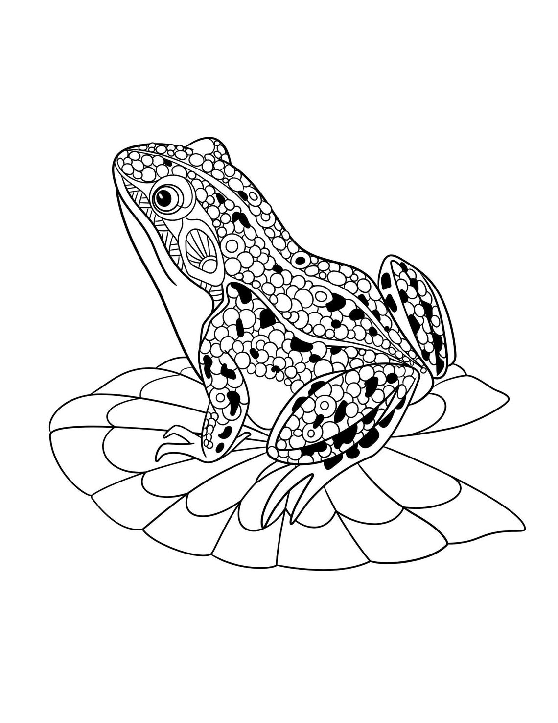 30 Pieces Coloring Book | Frog Coloring Book | Children for Activity ...