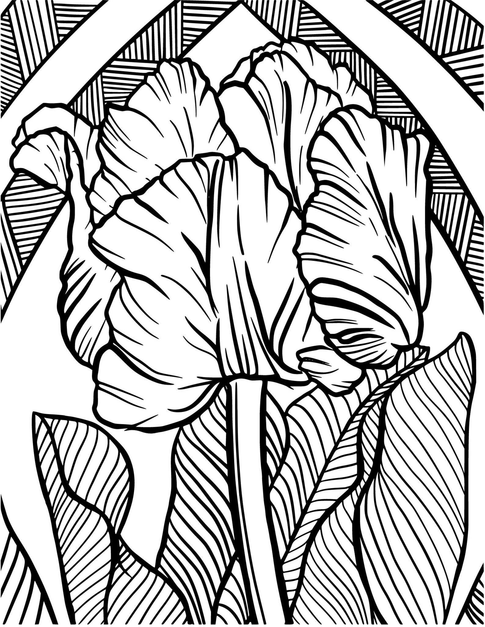 Flower Coloring Pages 40 Coloring Pages Coloring for Children ...