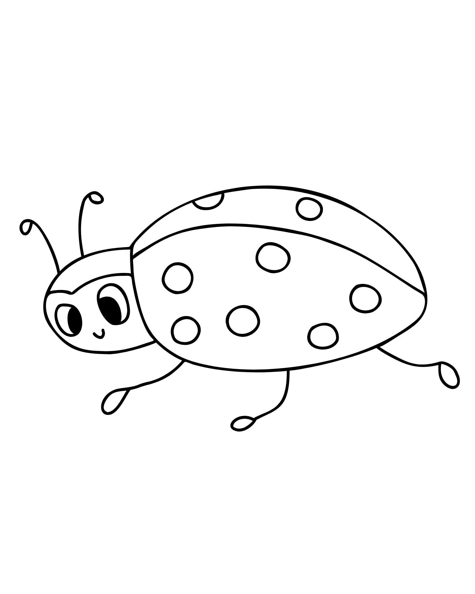 25 Pieces of Ladybug Coloring Pages / Children Coloring / Children ...