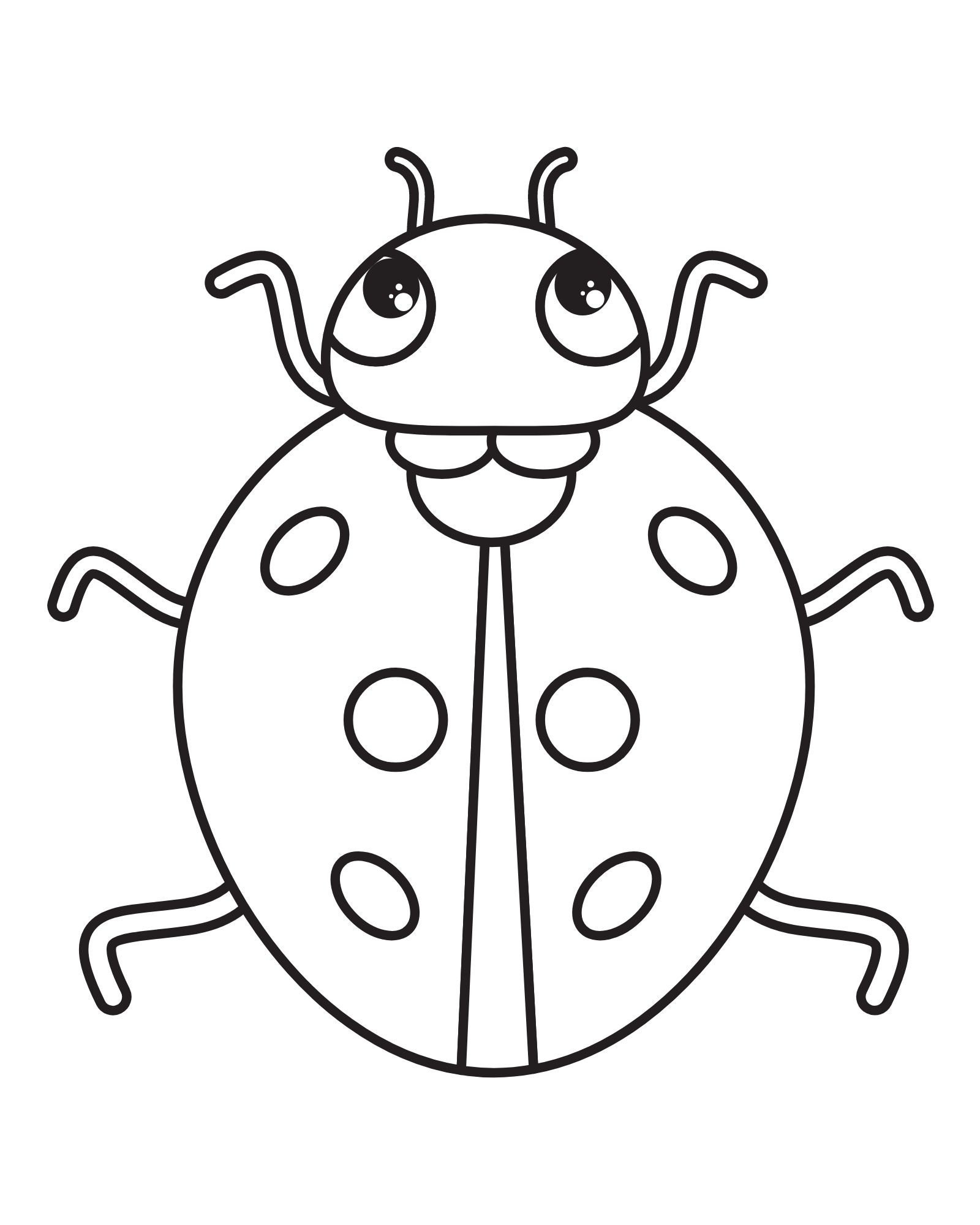 25 Pieces of Ladybug Coloring Pages / Children Coloring / Children ...