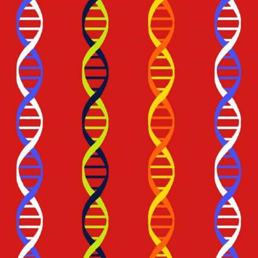 Studio E Chemistry 3735-88 Red DNA Strands by Geek Chic - Etsy